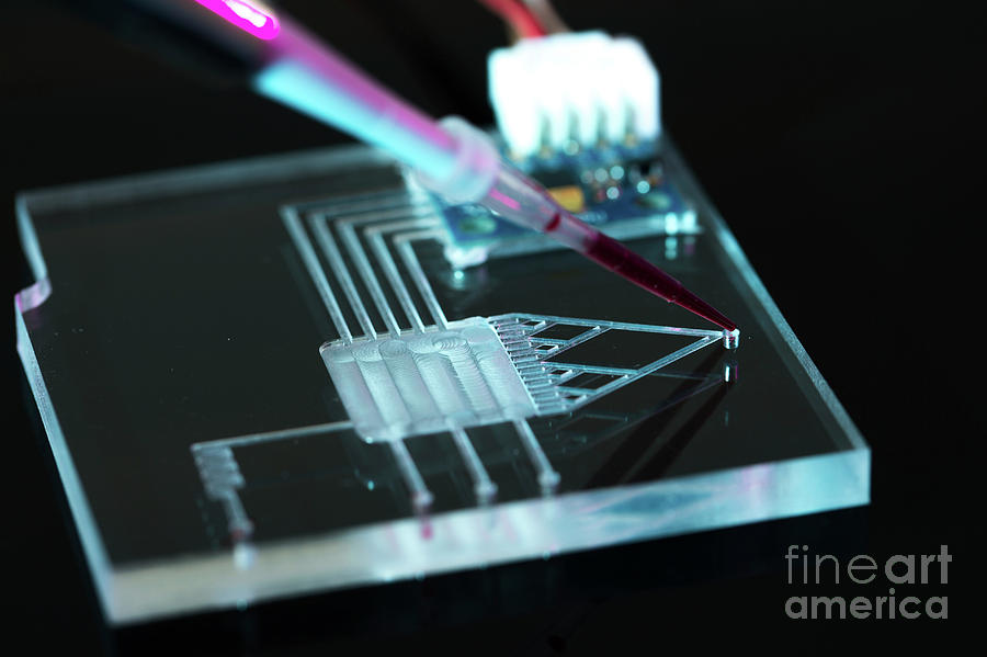 Lab On A Chip #17 by Wladimir Bulgar / Science Photo Library