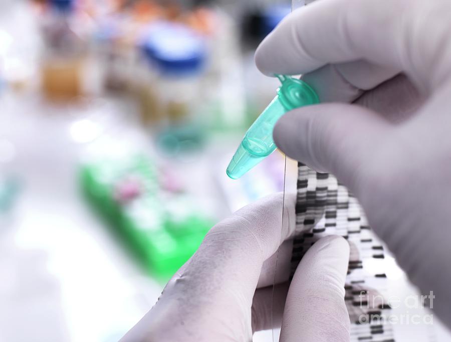 Genetic Research #18 by Tek Image / Science Photo Library