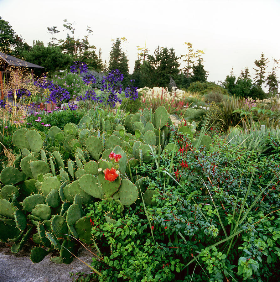 Dan Hinkley Garden #2 by Richard Felber
