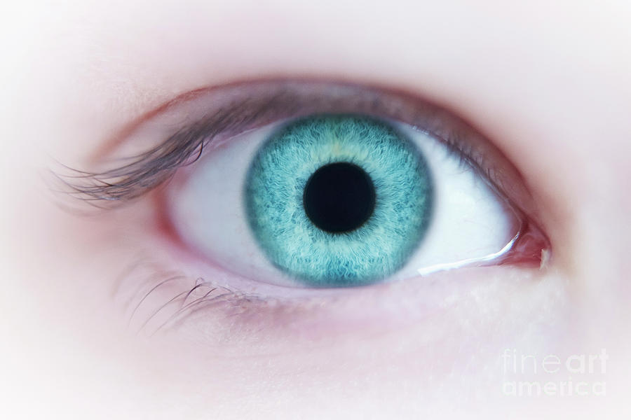 Female Eye #2 by Adam Gault / Science Photo Library