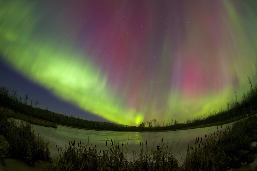 Northern Lights #3 by Design Pics carson Ganci