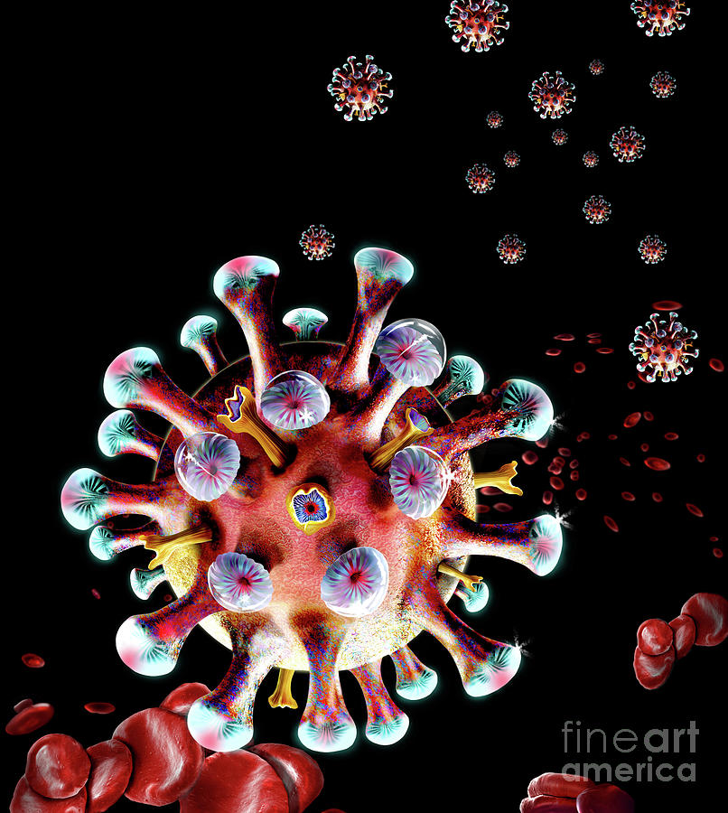 T Cell #3 by Keith Chambers / Science Photo Library