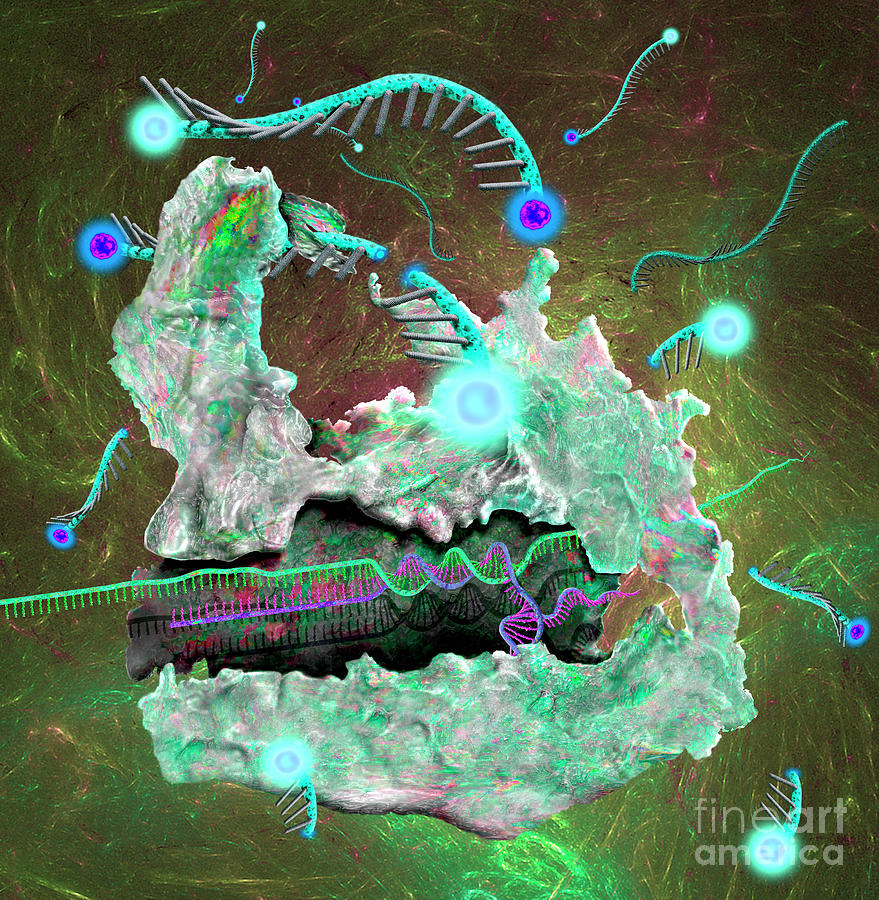 Crispr Cas13 Protein #6 by Keith Chambers / Science Photo Library
