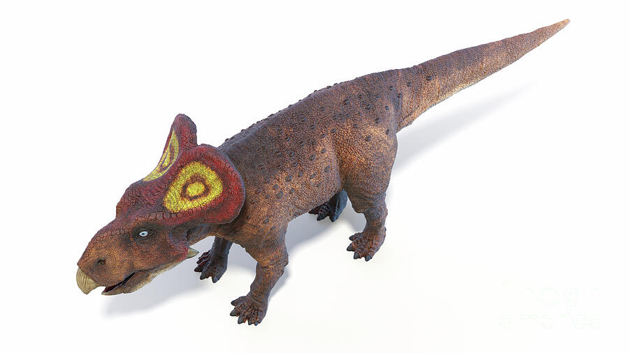 Protoceratops Dinosaur #8 by 3Dmedisphere / Science Photo Library