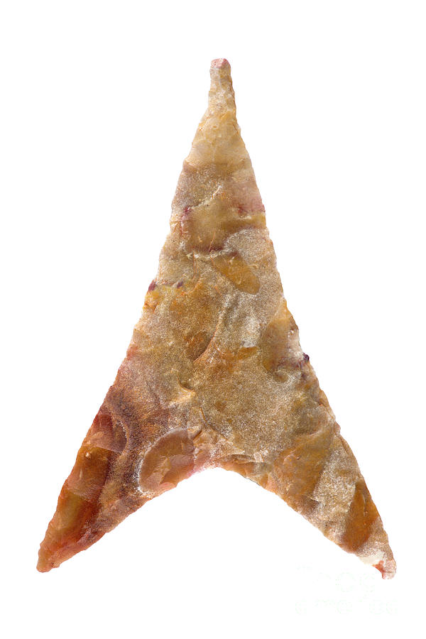 Neolithic Winged Arrow Head In Carved Stone #9 by Pascal Goetgheluck ...