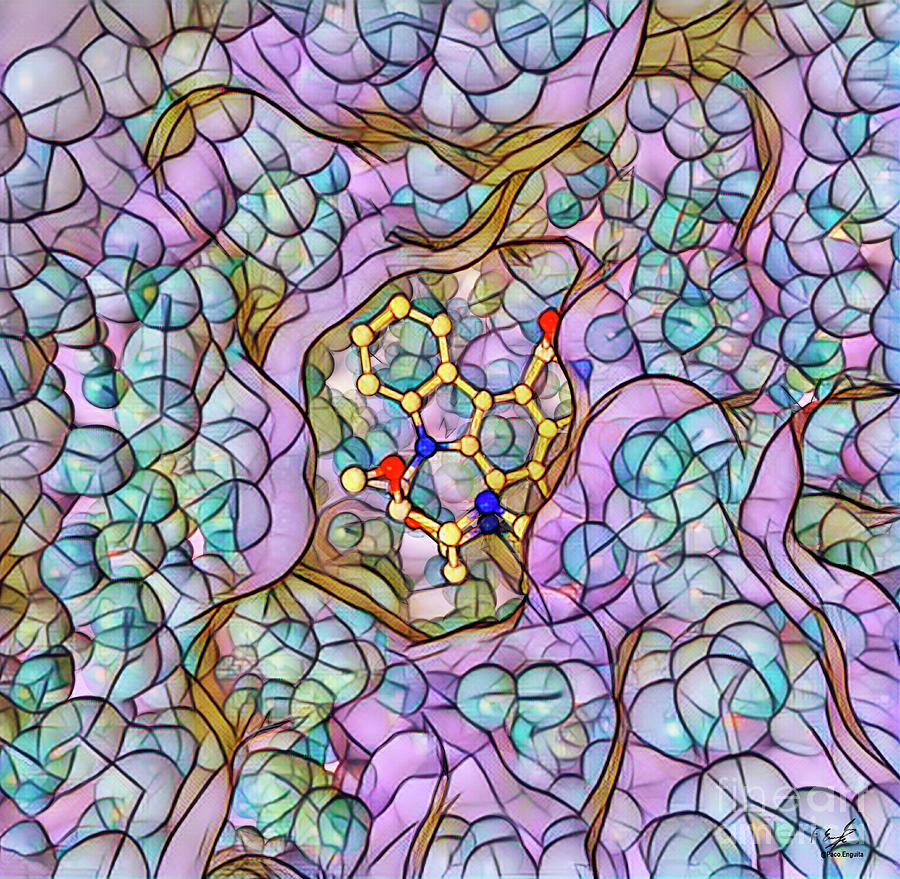 Alpha 1-acid Glycoprotein Bound To Antitumour Compound by Francisco J ...