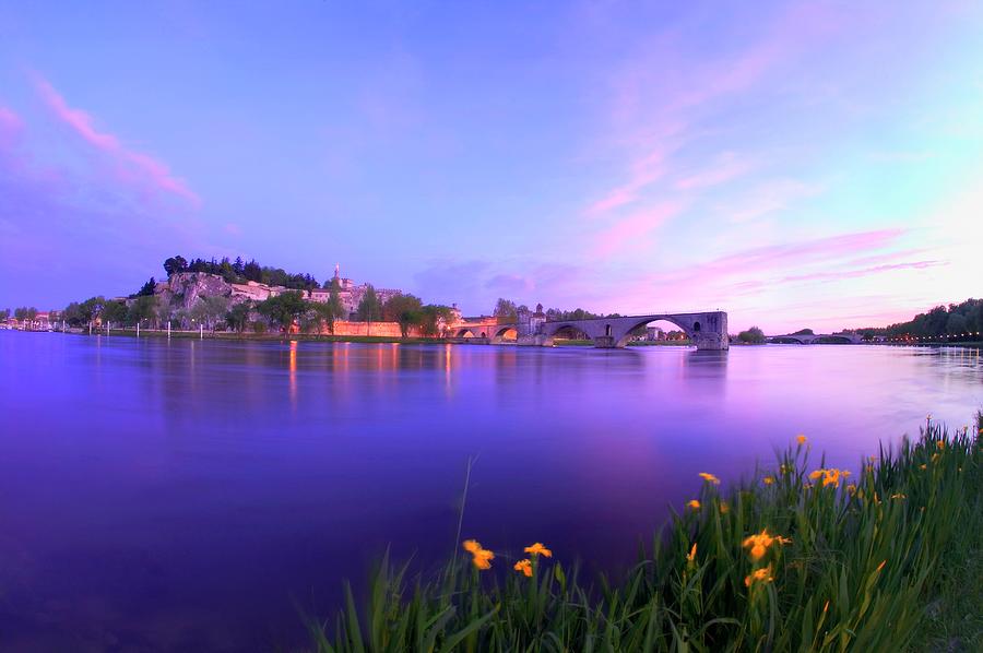 Avignon From Rhone River Provence France by Design Pics carson Ganci