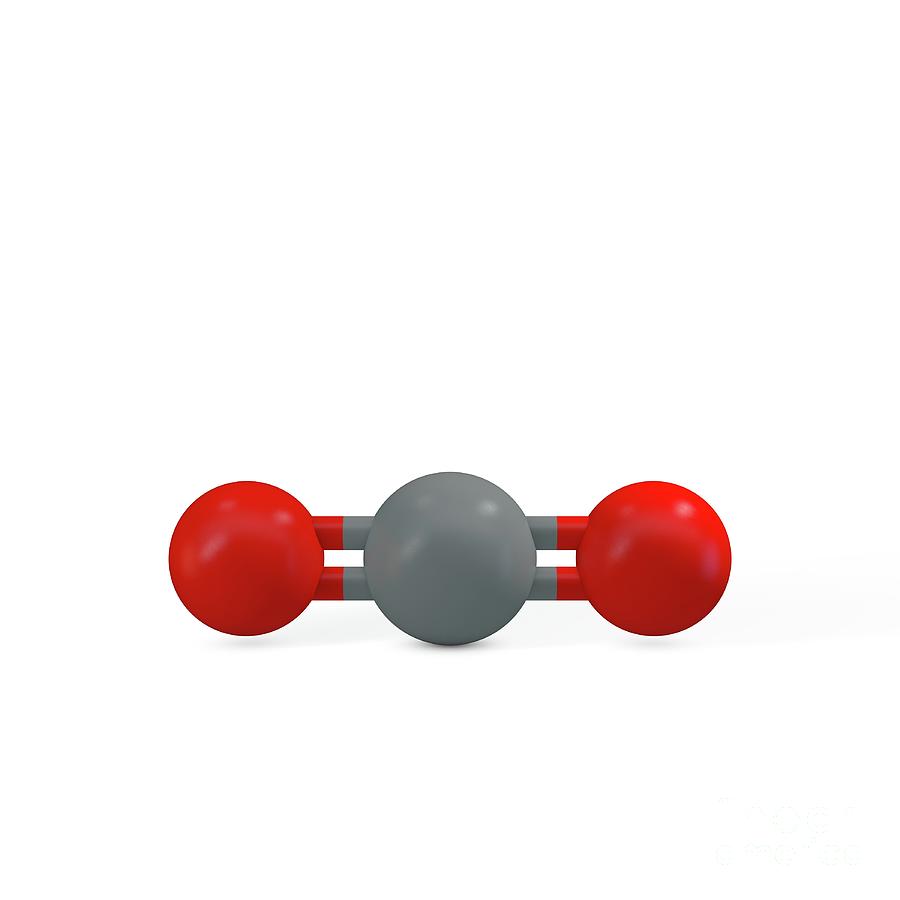 Carbon Dioxide Molecule by Adam Brackenbury / Science Photo Library