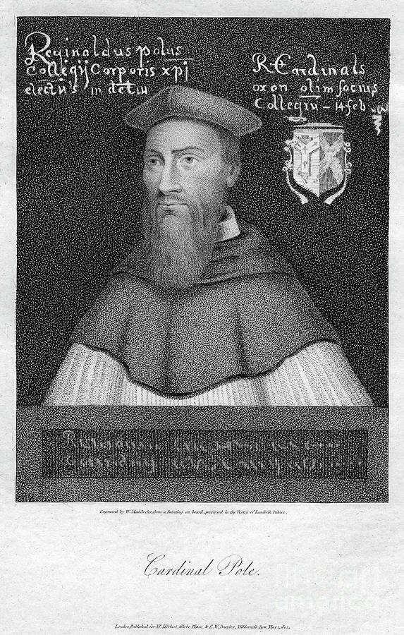 Cardinal Pole, Archbishop by Print Collector