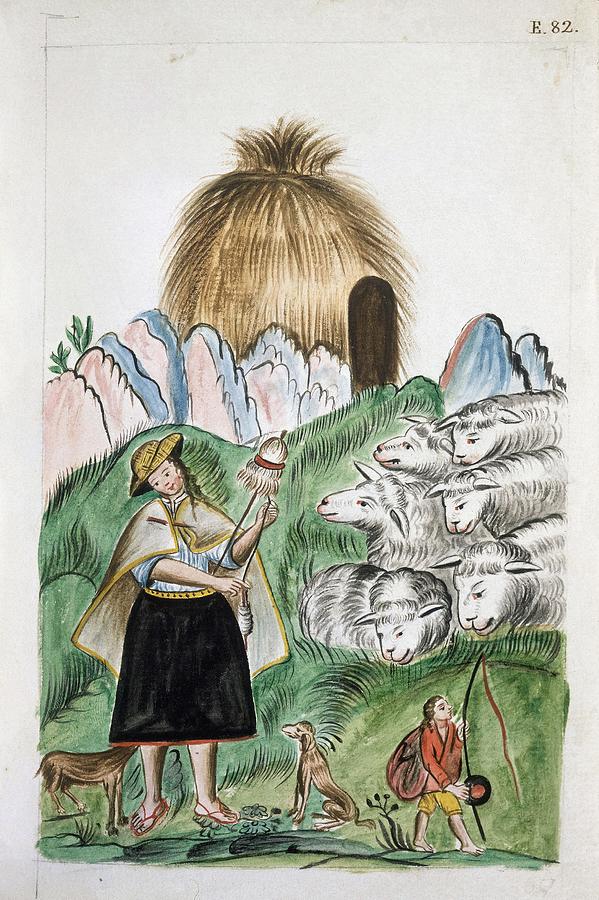 Codex Trujillo Del Peru - Book II E 82 - West Indian Shepherd ...