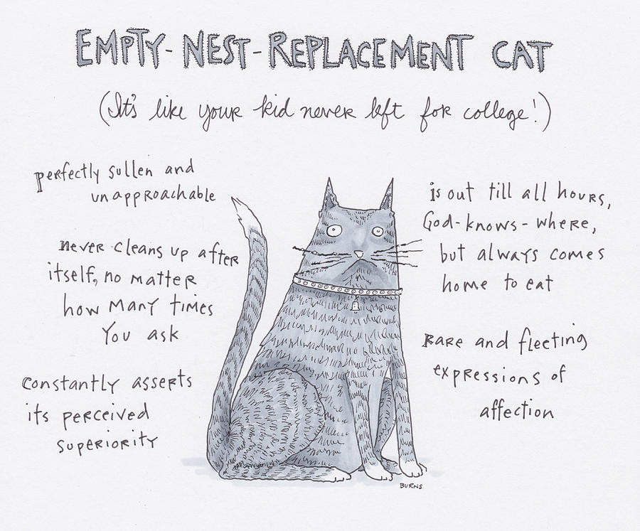 Empty Nest Replacement Cat by Teresa Burns Parkhurst