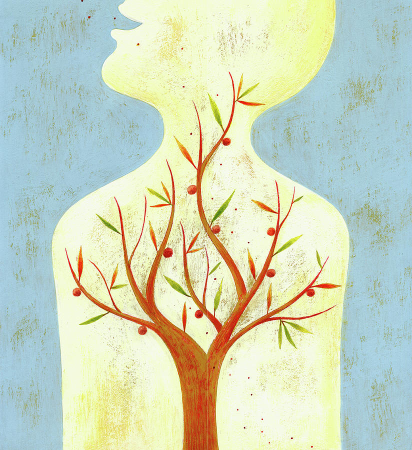 Fruit Tree Growing Inside Of Human Body by Ikon Images