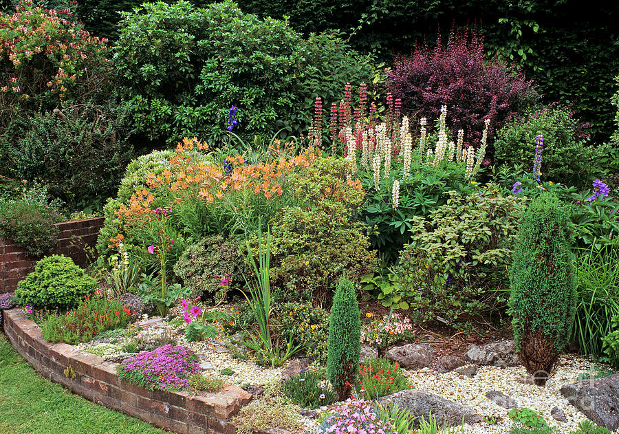 Garden Border by Geoff Kidd / Science Photo Library