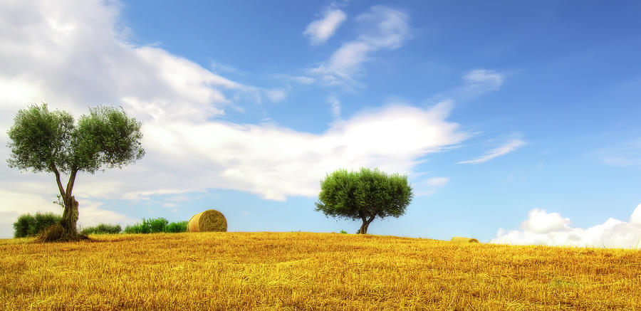 Landscape by Dof-photo By Fulvio