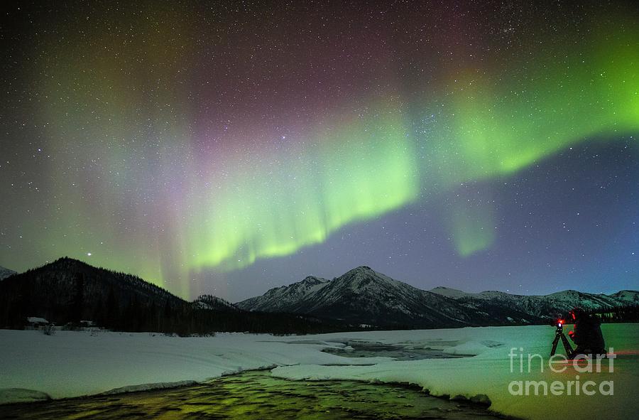 Lone Photographer And The Aurora by Chris Madeley / Science Photo Library