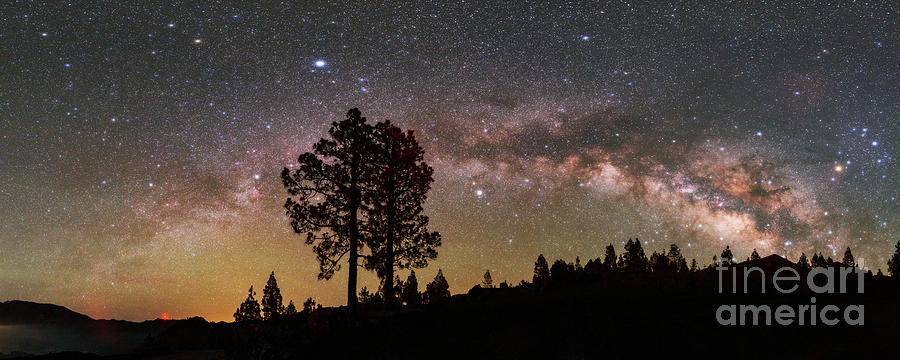 Milky Way Over Pine Trees by Amirreza Kamkar / Science Photo Library