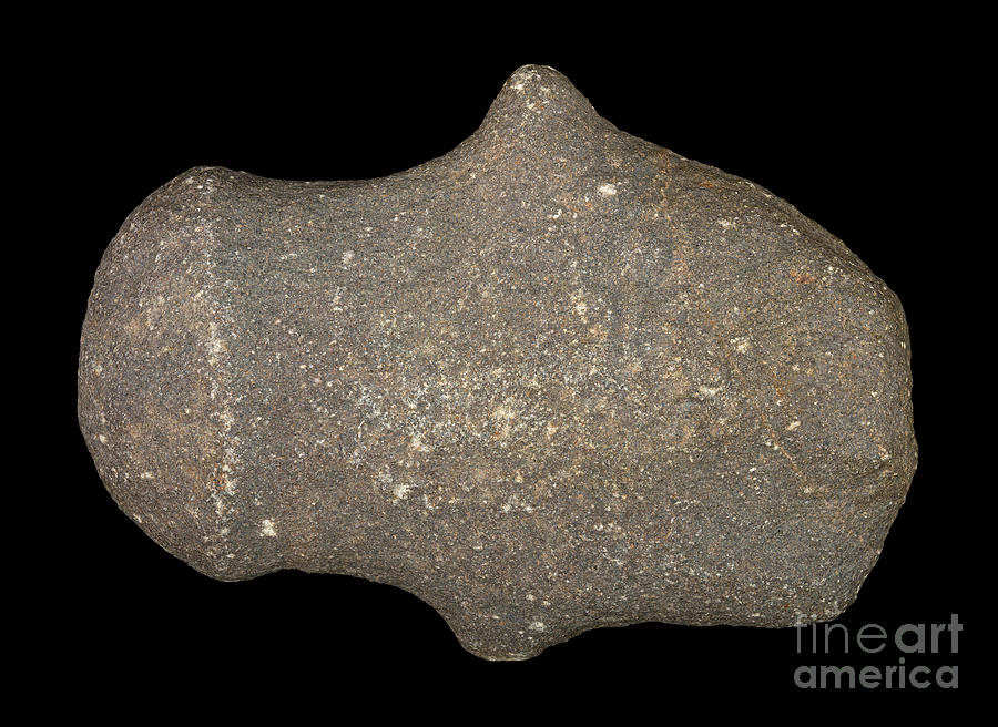Neolithic Basalt Throat Axe by Pascal Goetgheluck / Science Photo Library