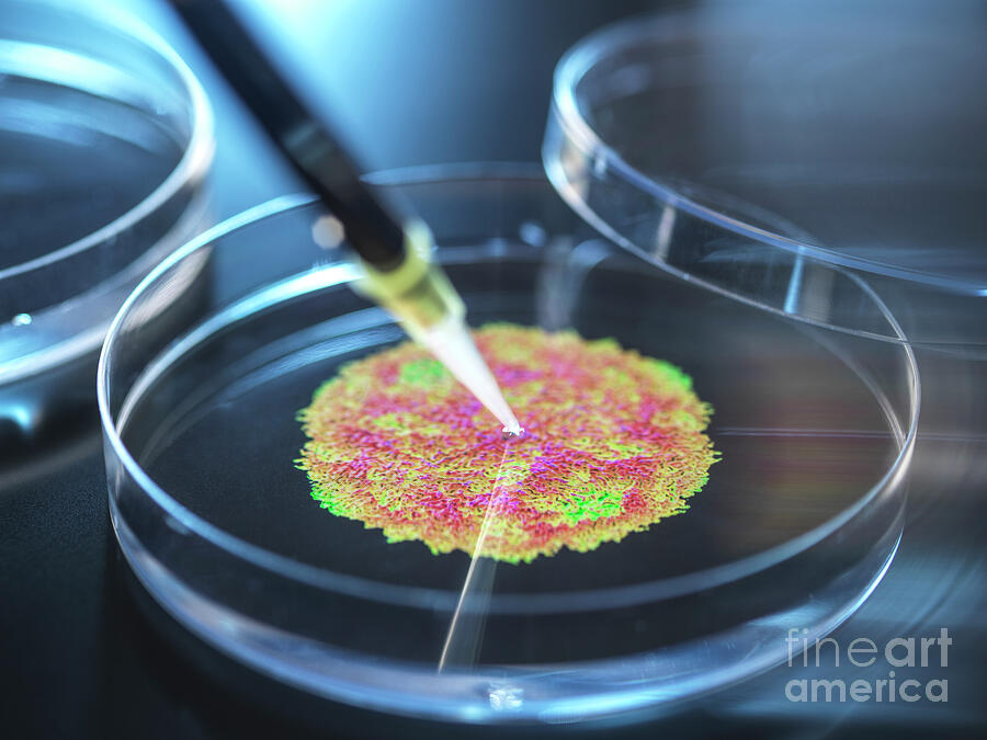 Polio Virus Research by Tek Image / Science Photo Library