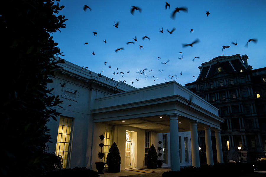 President Donald Trump Government by The Washington Post