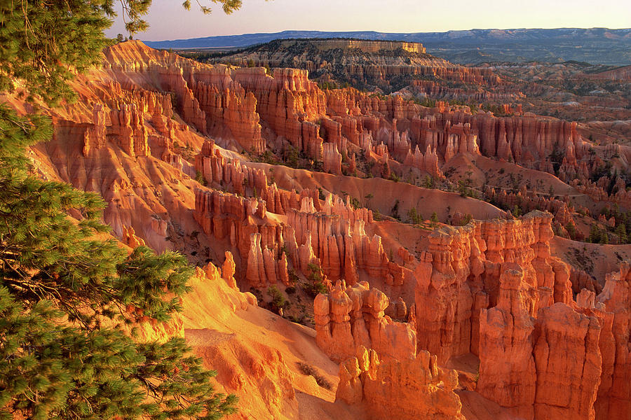 Queens Garden Hoodoos At Sunrise. Bryce by Comstock Images