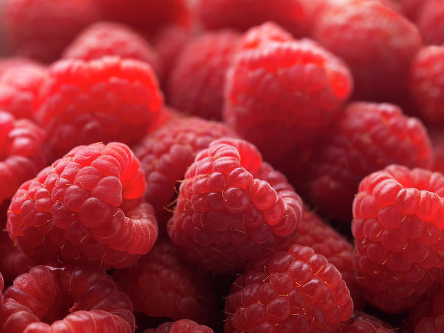 Red Raspberries Macro Xxl by Joecicak