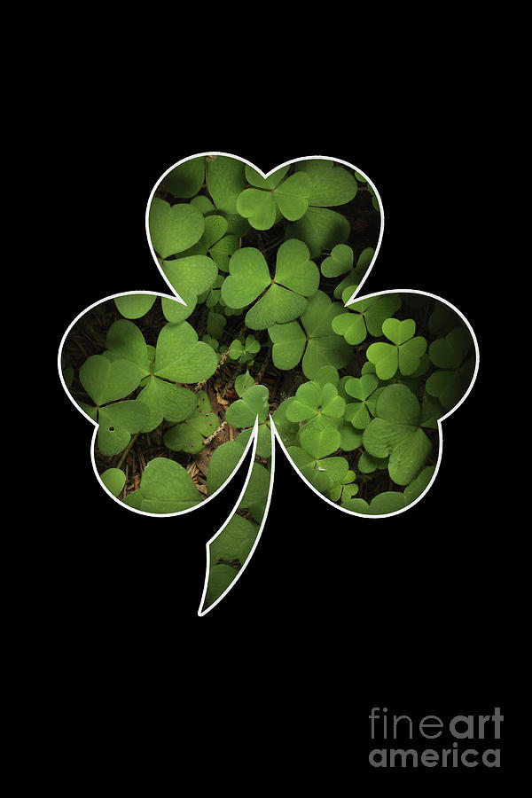 Shape Of A Clover Leaf On Black by Sergey Ryumin