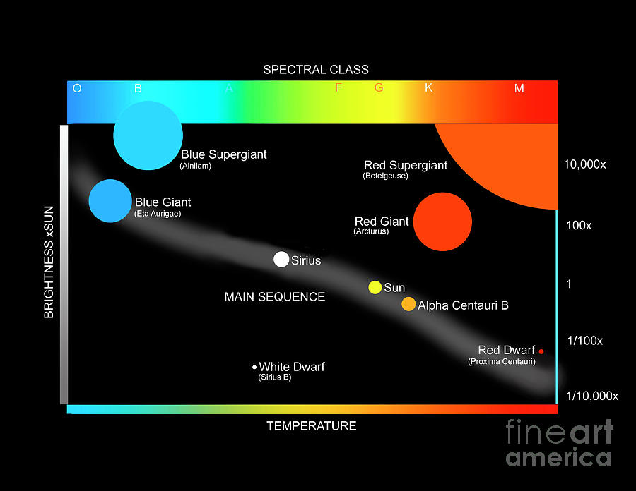 Star Classification by Ron Miller / Science Photo Library