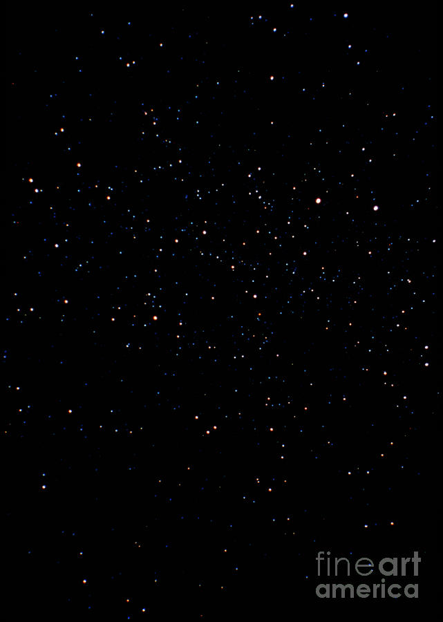 The Constellations Of Apus by John Sanford / Science Photo Library