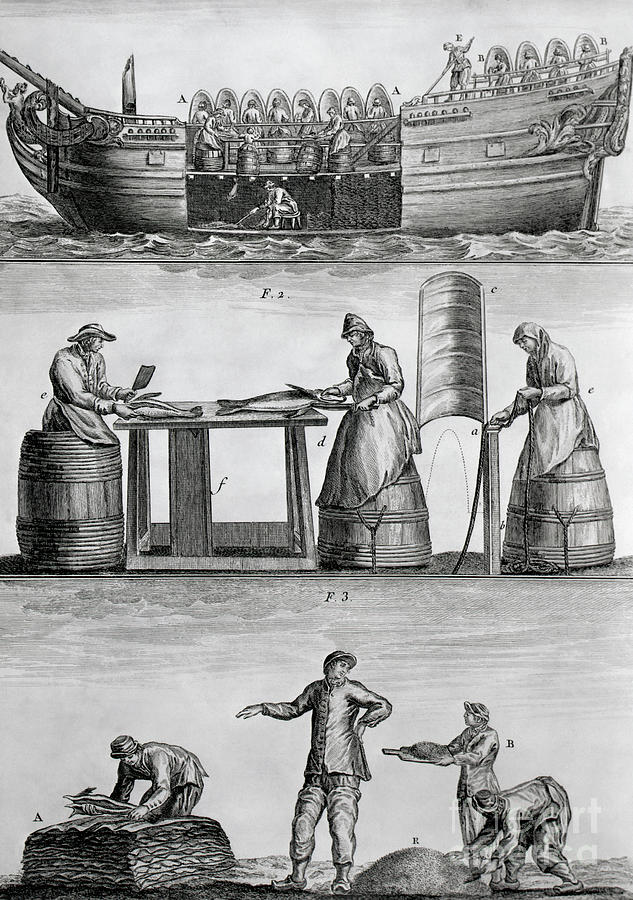 Three Panels Of Fish Industry In 1770 by Bettmann