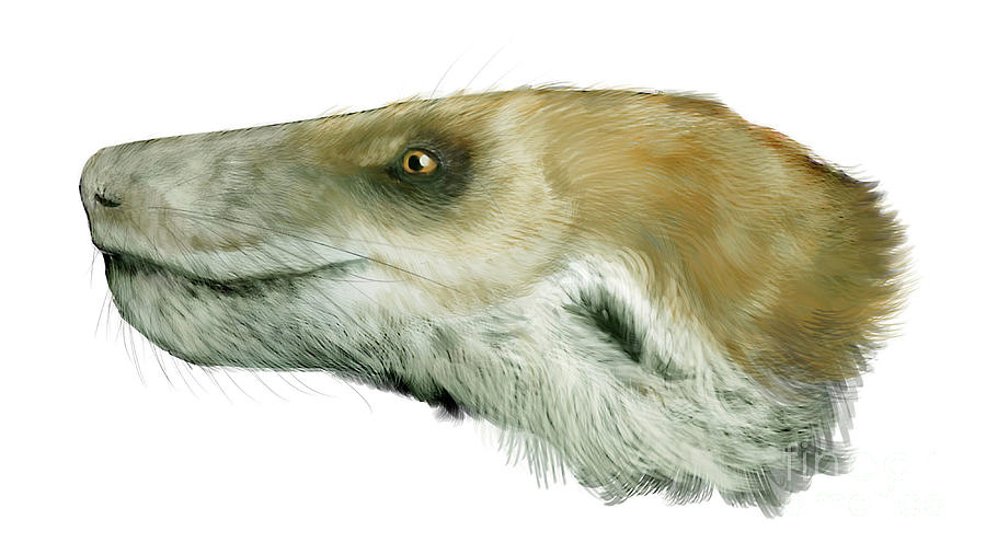 Thrinaxodon Cynodont by Mark P. Witton / Science Photo Library