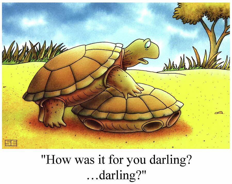 Turtles Having Sex How Was It For You Darling...darling Drawing by Stan ...