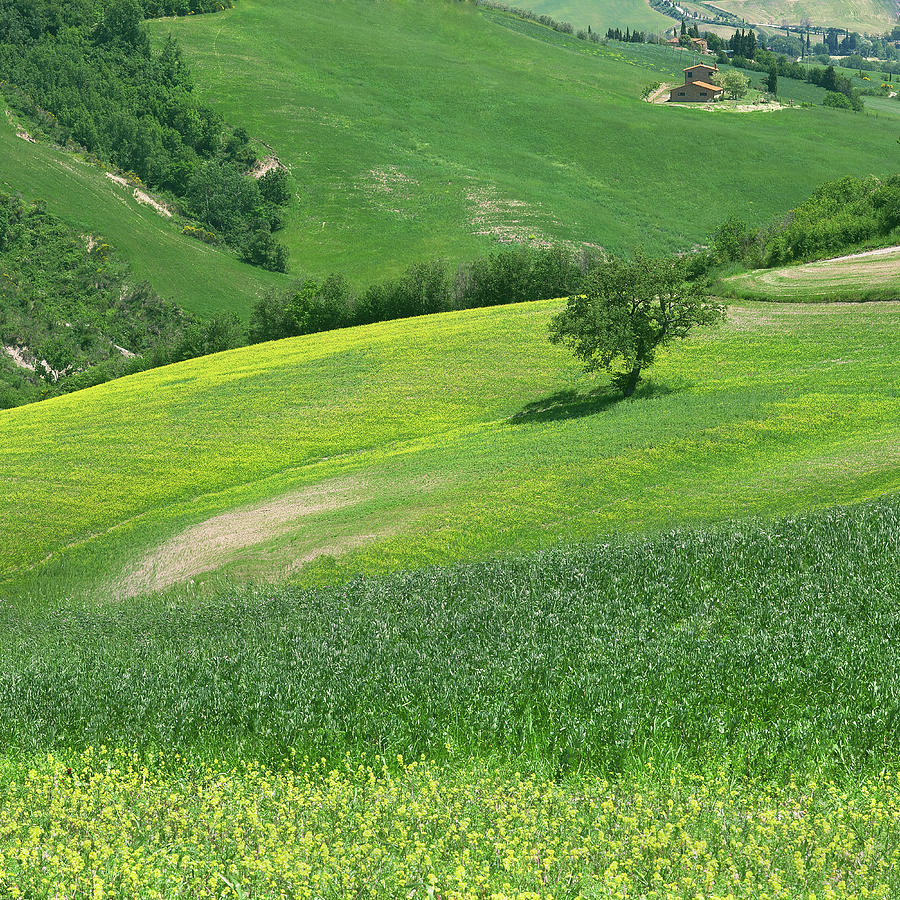 Tuscany In Green by Nico De Pasquale Photography