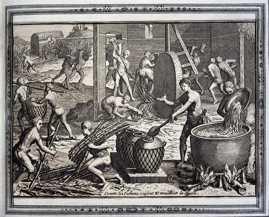 West Indian Travels - 1590 - Indians Of Peru Processing Sugar - 1592 ...