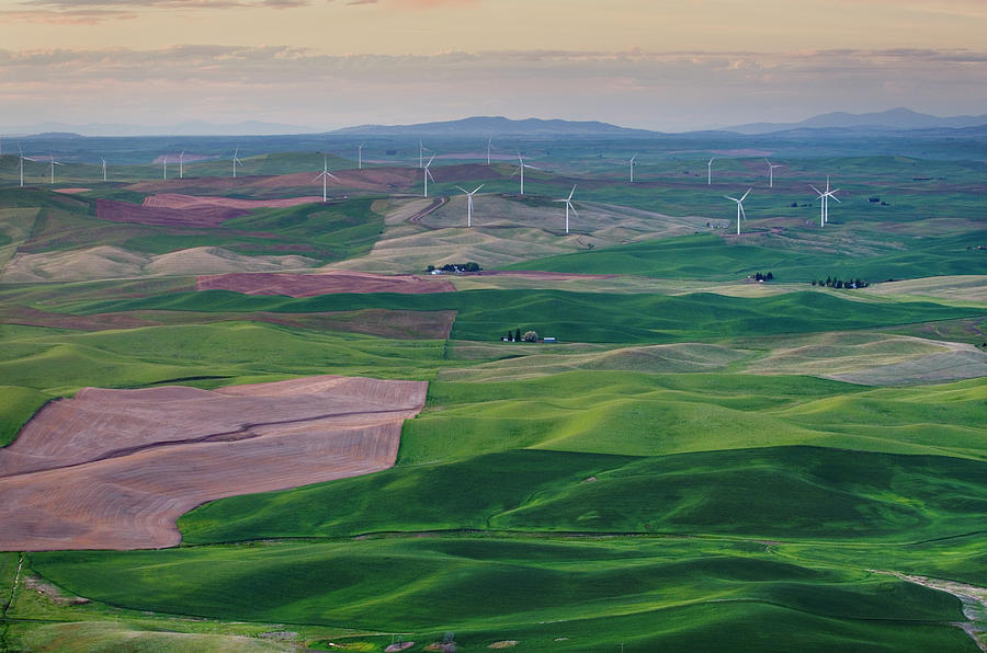 Wind Turbines Palouse Washington by Alan Majchrowicz