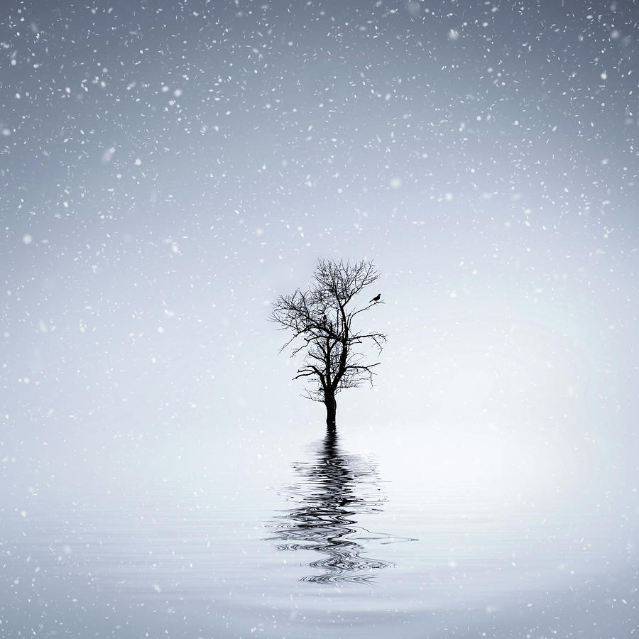 Winter Scene At Batllava Lake by Bess Hamiti