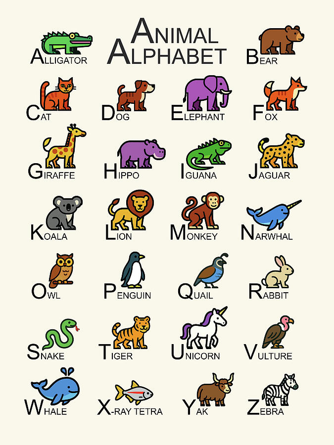Animal Alphabet Chart English Digital Art by Mark Rogan - Metal Posters