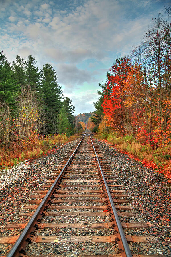 Autumn Adventure by Robert Harris