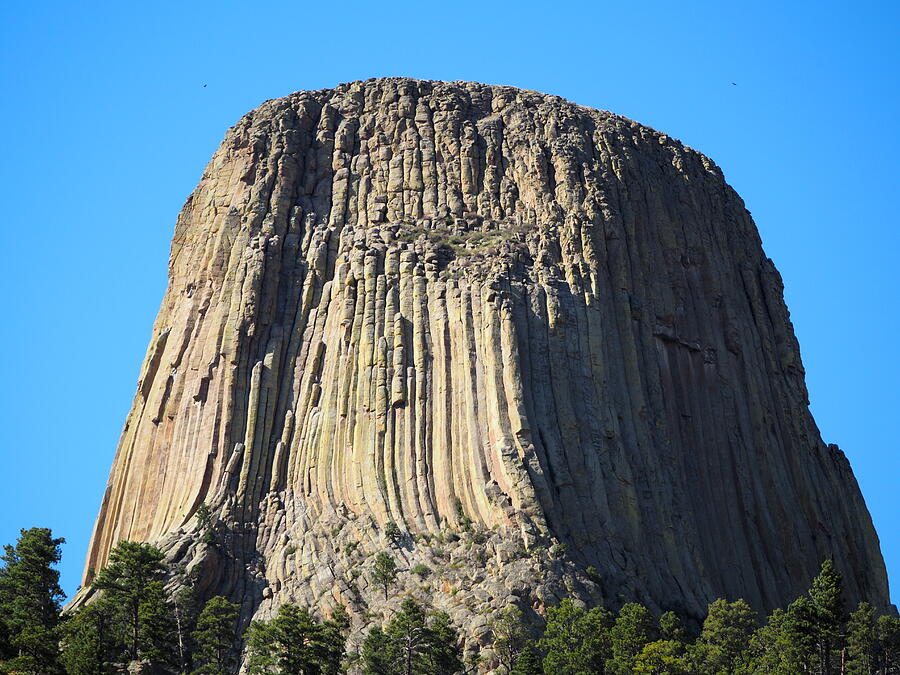 Devils Tower a Majestic Geological Formation under Clear Sky by Bill ...