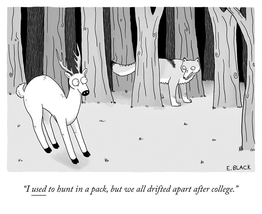 Drifted Apart After College by Ellie Black