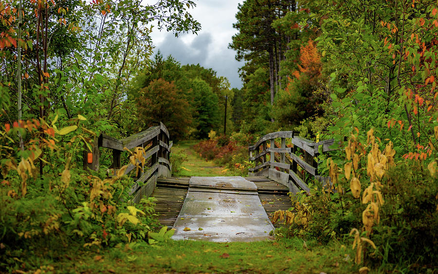 Fall Bridge Photograph by Zach Hall - Metal Posters