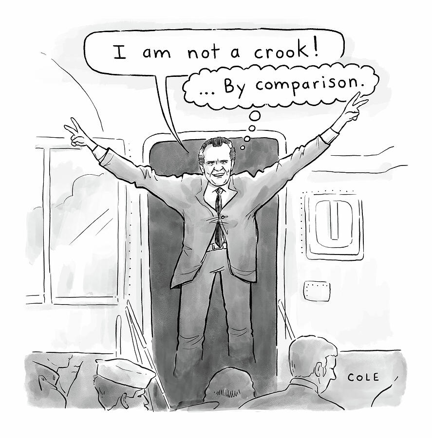 I am not a Crook by Tyson Cole