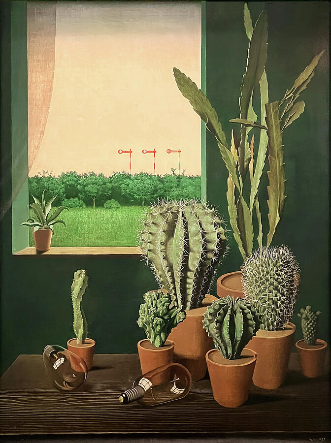 Kakteen und Semaphore - Cacti and semaphore by Georg Scholz by Georg Scholz