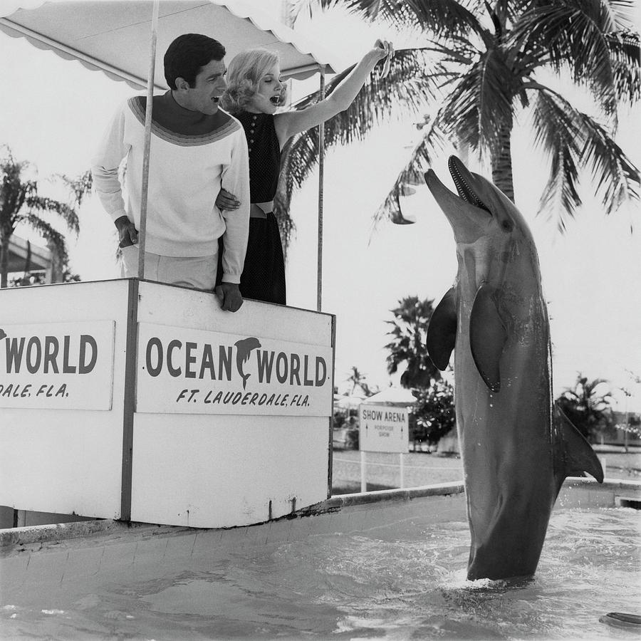 Models Feeding a Dolphin at Ocean World by Zachary Freyman