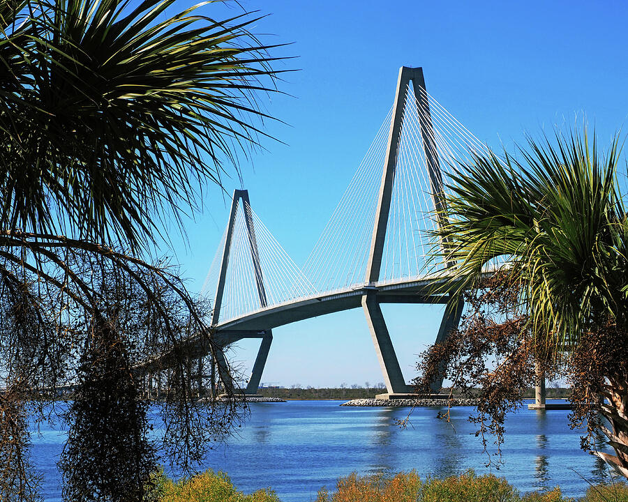 Palm Trees Frame the Arthur Ravenel Jr. Bridge by Bill Swartwout