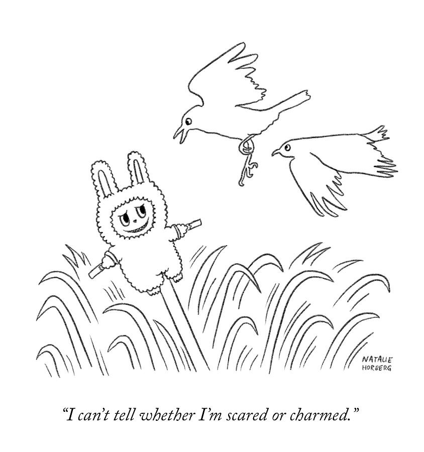 Scared or Charmed by Natalie Horberg