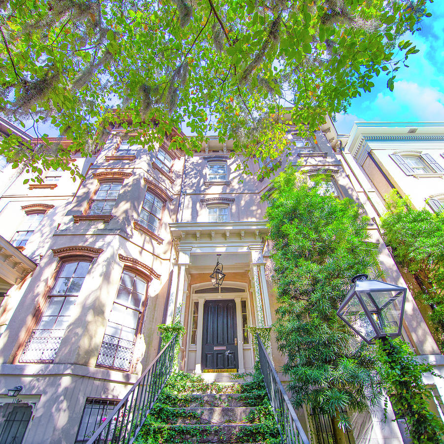The Architecture of Savannah by Mark Andrew Thomas