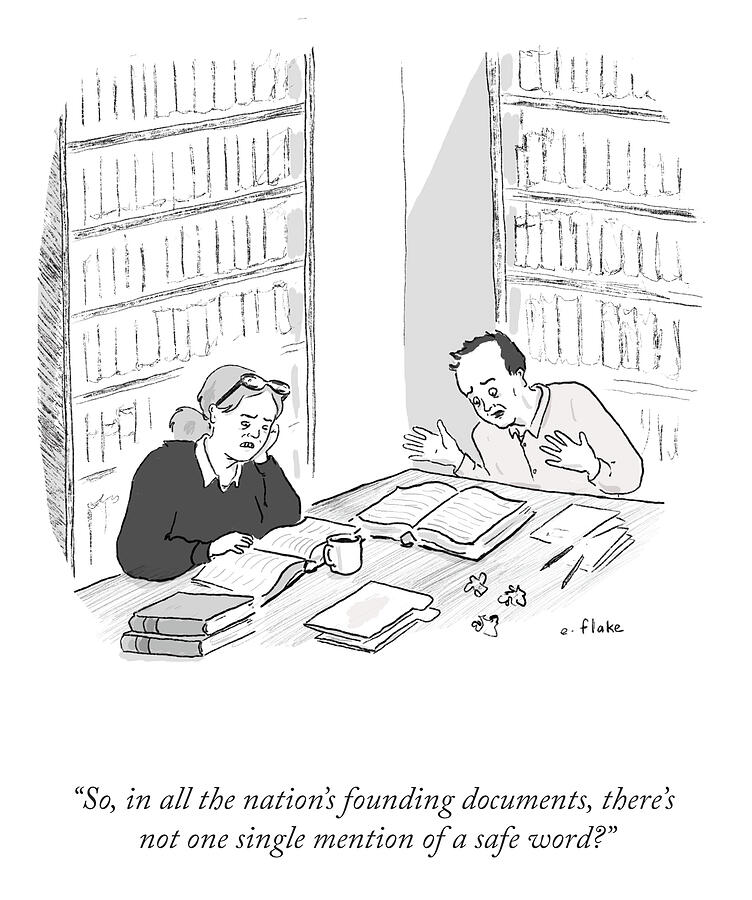 The Nation's Founding Documents by Emily Flake